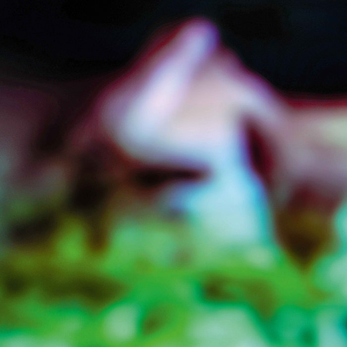 Disc Rot | Hair & Treasure