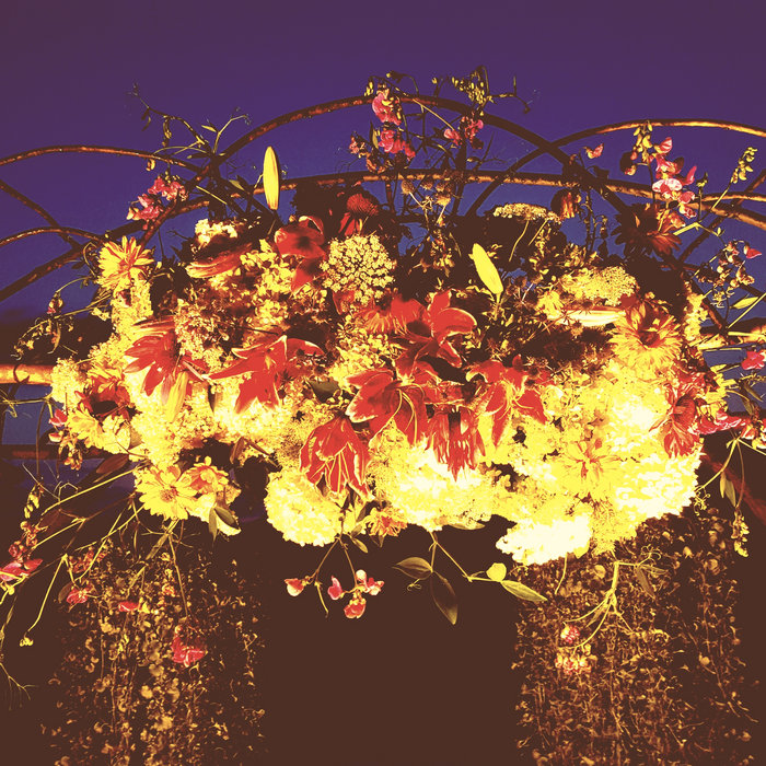 3 Songs, 7.28.18 | Harry Nichols