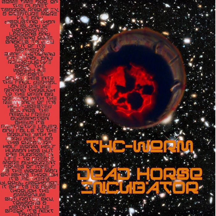 Dead Horse Incubator | THC-Worm