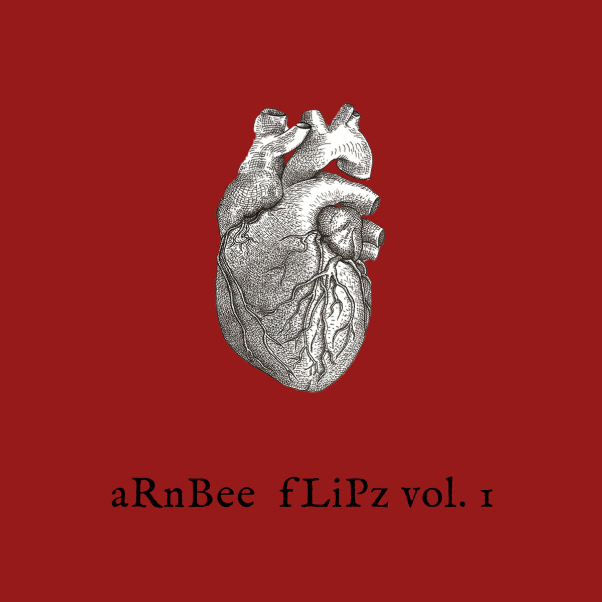 aRnBee fLiPz vol. 1 | Ian McDaniel