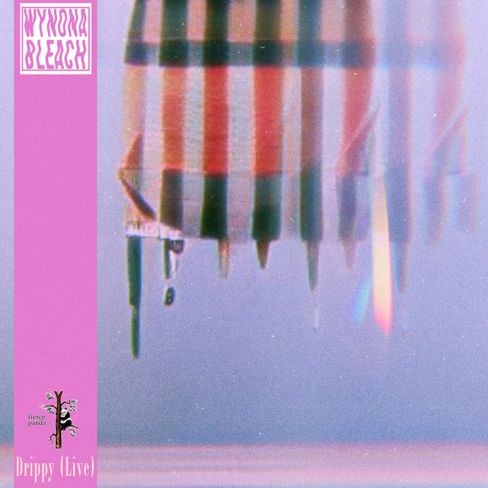 Drippy (Live) | Wynona Bleach