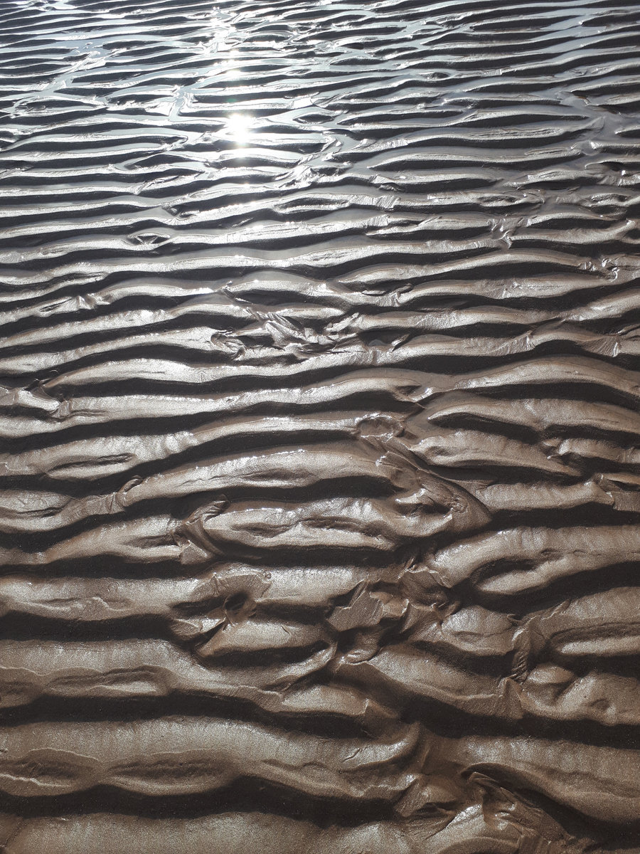 Lockdown Situation | Scott Ramage