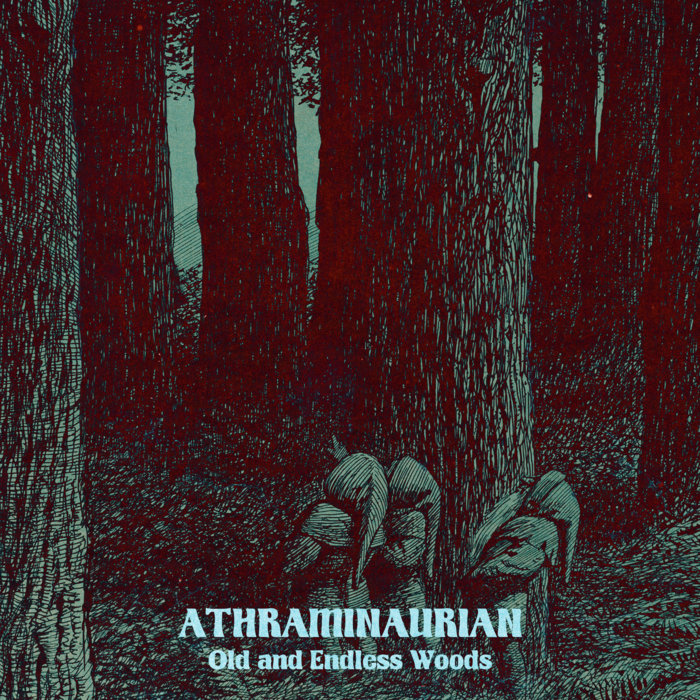 Old and Endless Woods | Athraminaurian