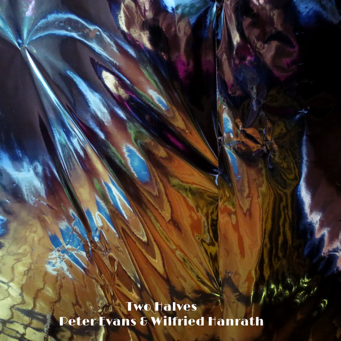 The {AN} EeL Parade, Pt . 1 | Peter J. Evans & Wilfried Hanrath | {AN} Eel