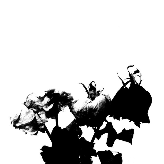 Dreaming of You (Demo) | Flower Haze