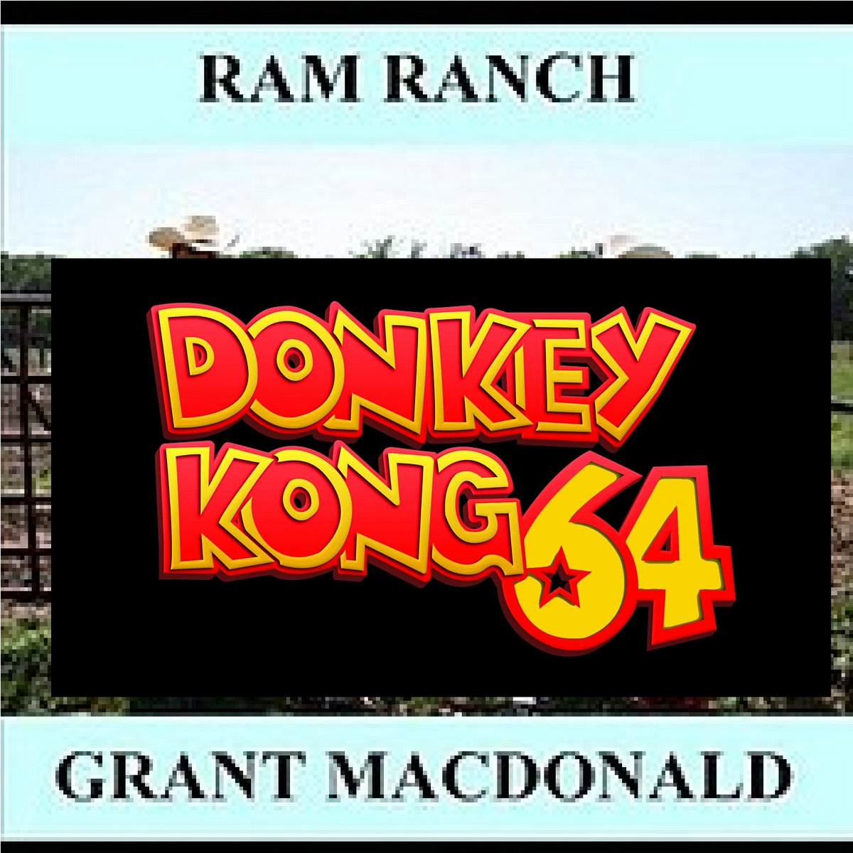 DK64 Ram Ranch | Holden Ellis