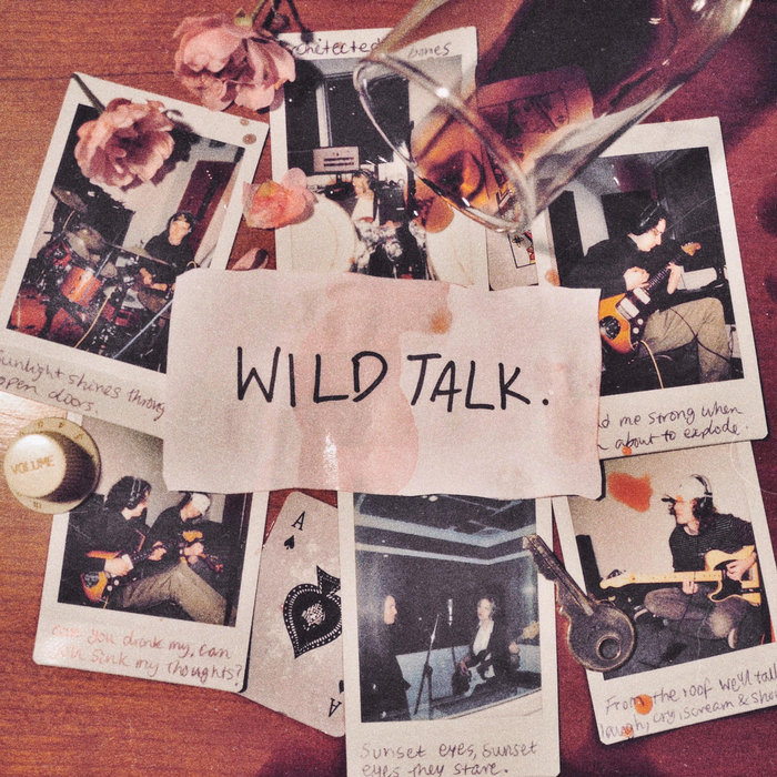 Wild Talk | Meraki Minds