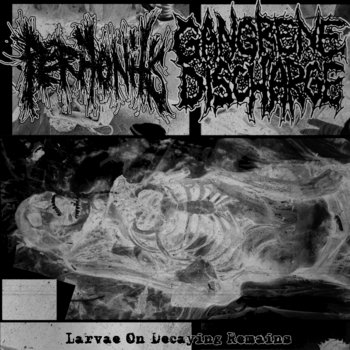 Larvae On Decaying Remains (Gangrene Discharge/Peritonitis Split ...