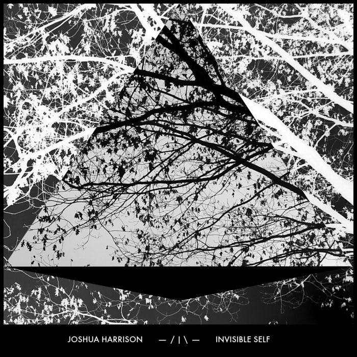 Invisible Self | Joshua Harrison | Noncom