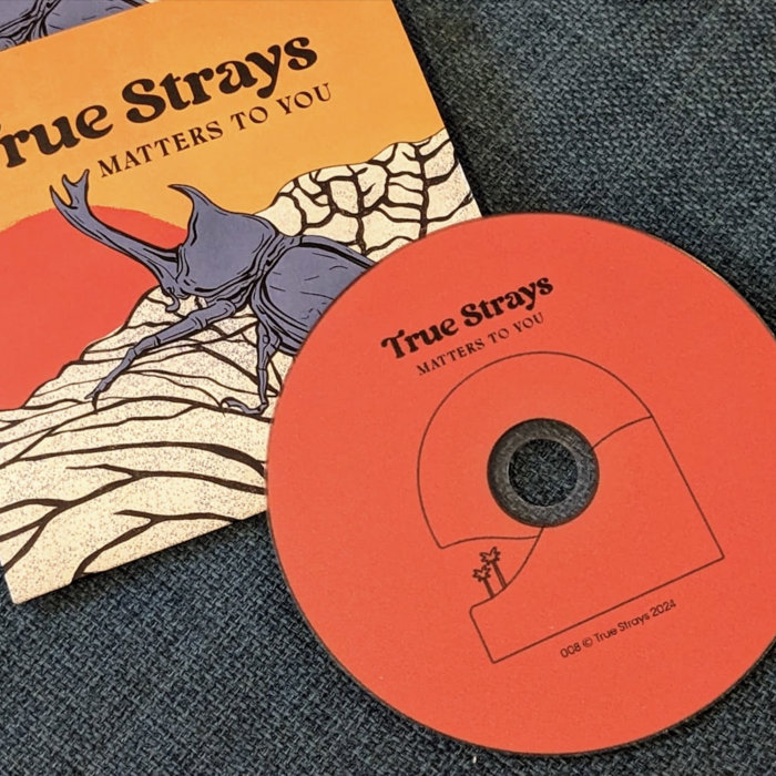 Matters To You - EP | True Strays