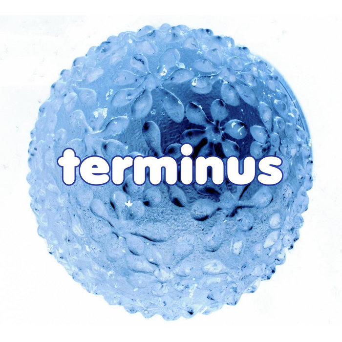 terminus | wawrzyn