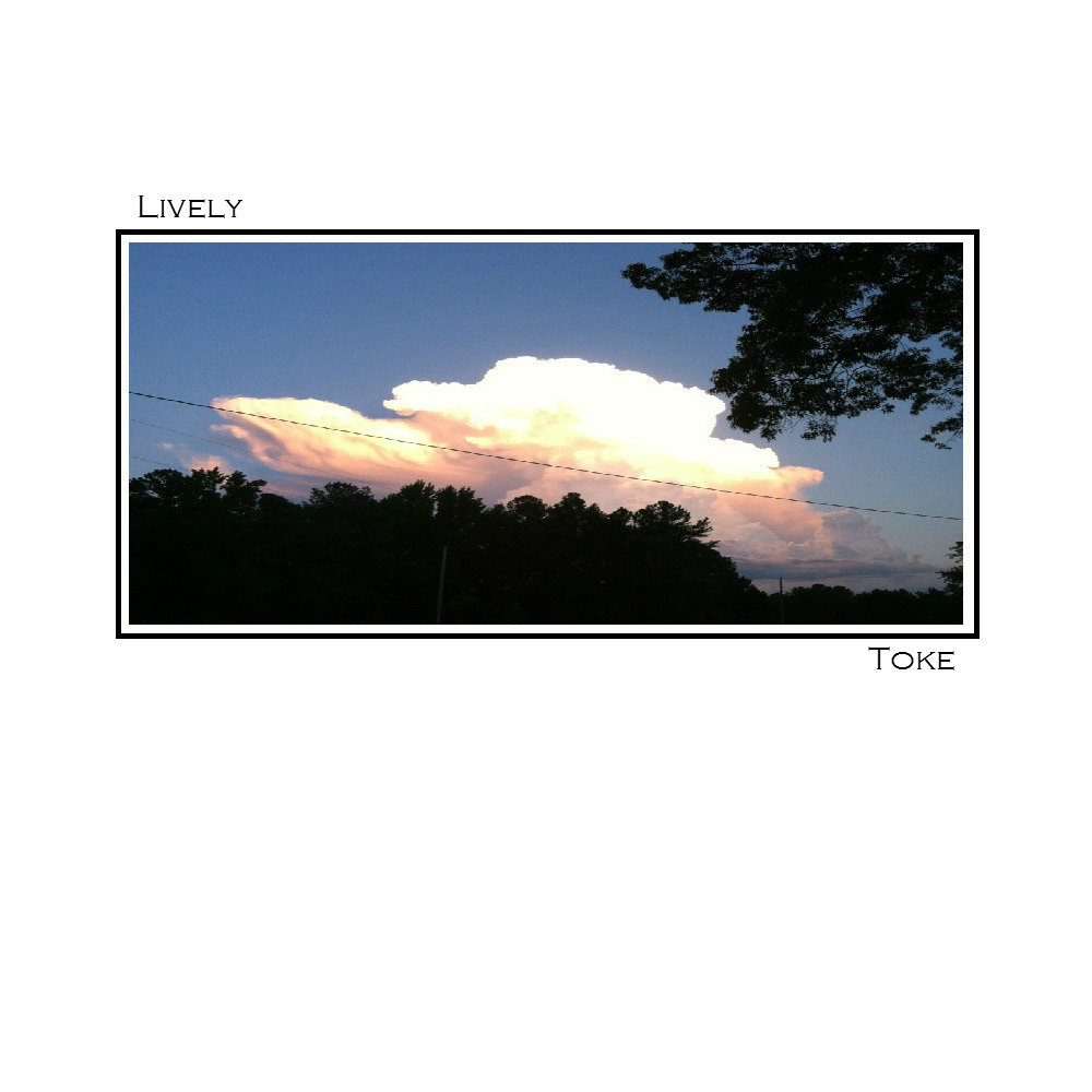 Livley(mixtape) | Toke | ToKe