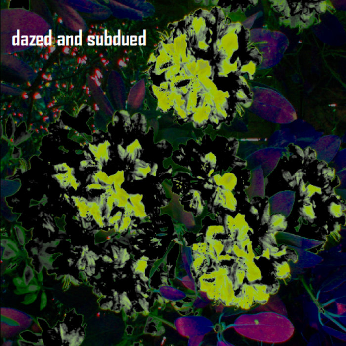 dazed and subdued | queen bee dream