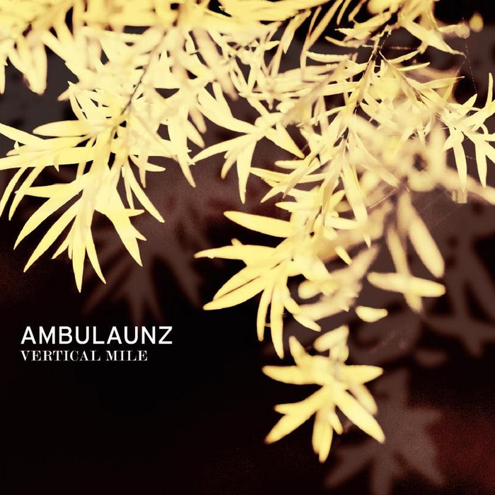 Vertical Mile | Ambulaunz