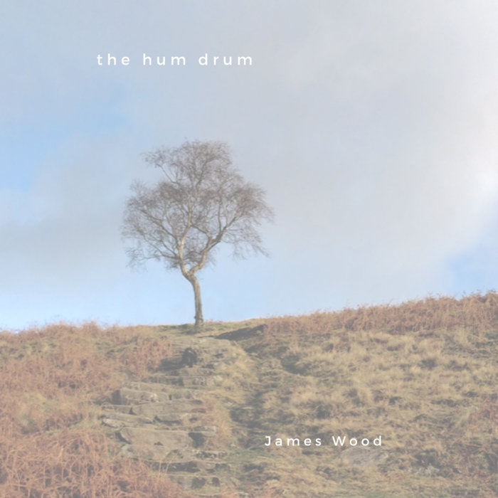 the hum drum | James Wood