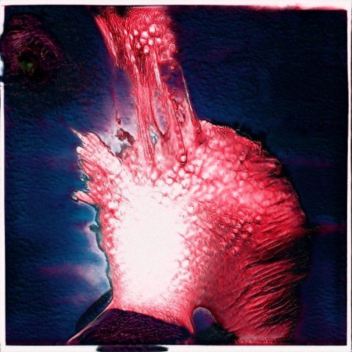 Sadistic Alien Dissection | When They Get Dismembered