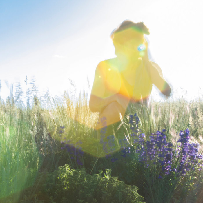 Wings to Fly | Melissa Leanne