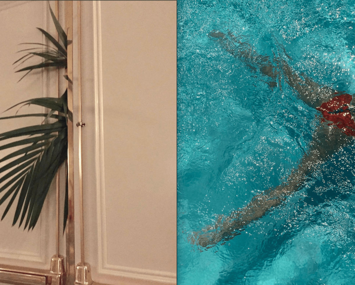 Soft Traps | Aaron Schroeder