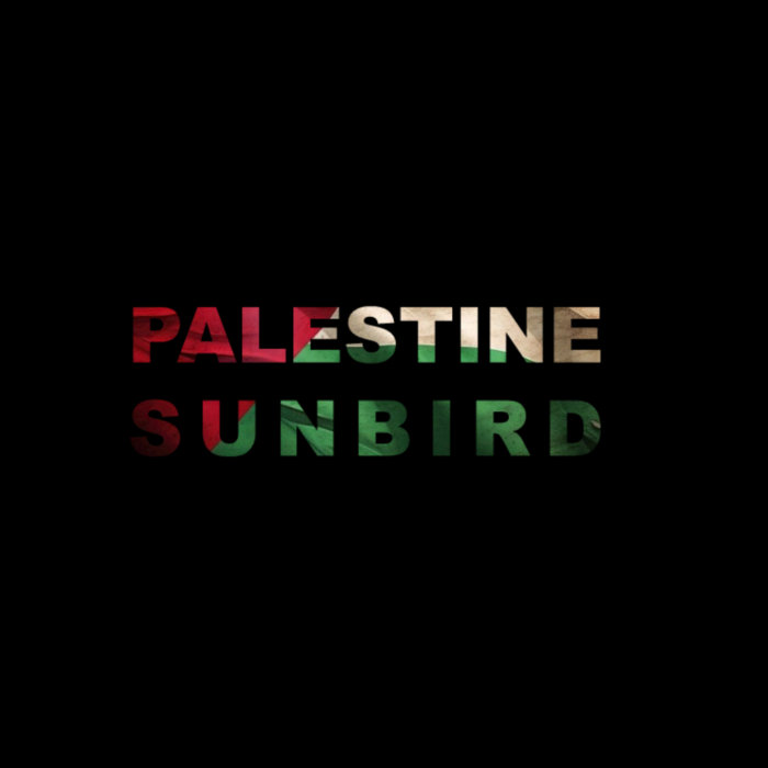 Palestine Sunbird | John Spillane