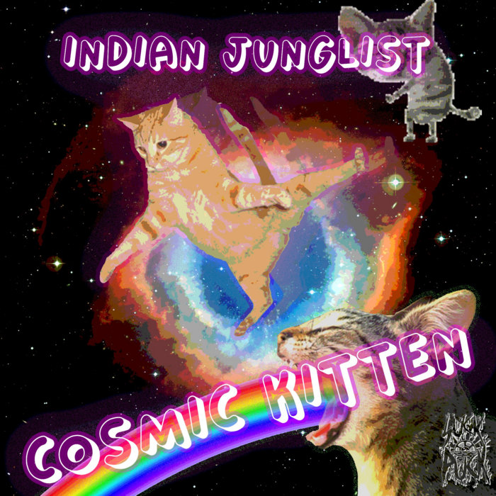 Cosmic Kitten | Indian Junglist | Suck Puck Records