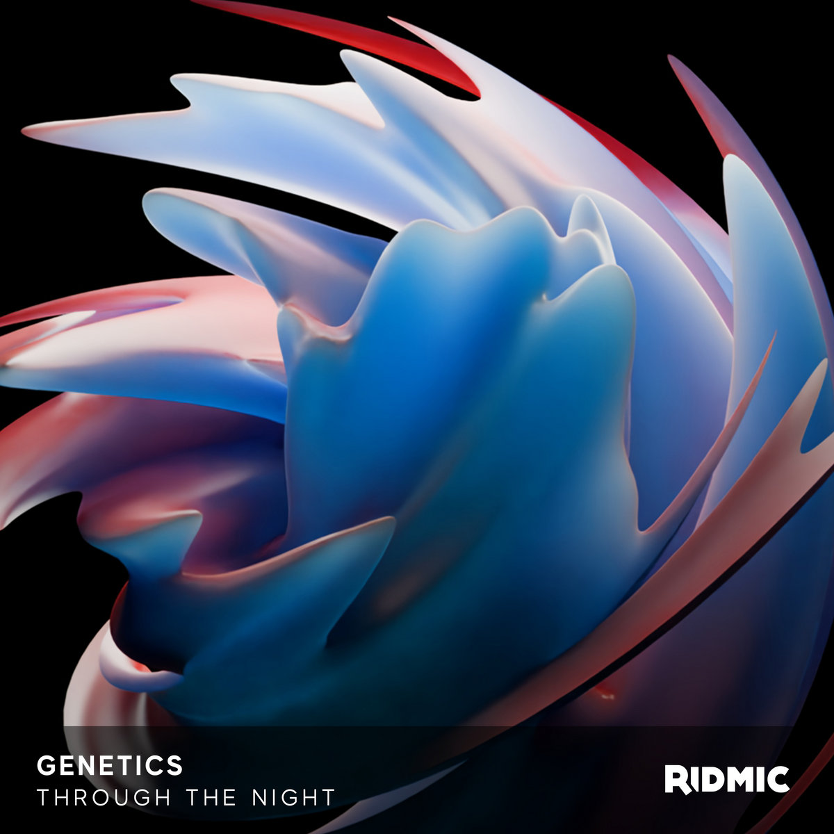 Through The Night | Genetics | Ridmic
