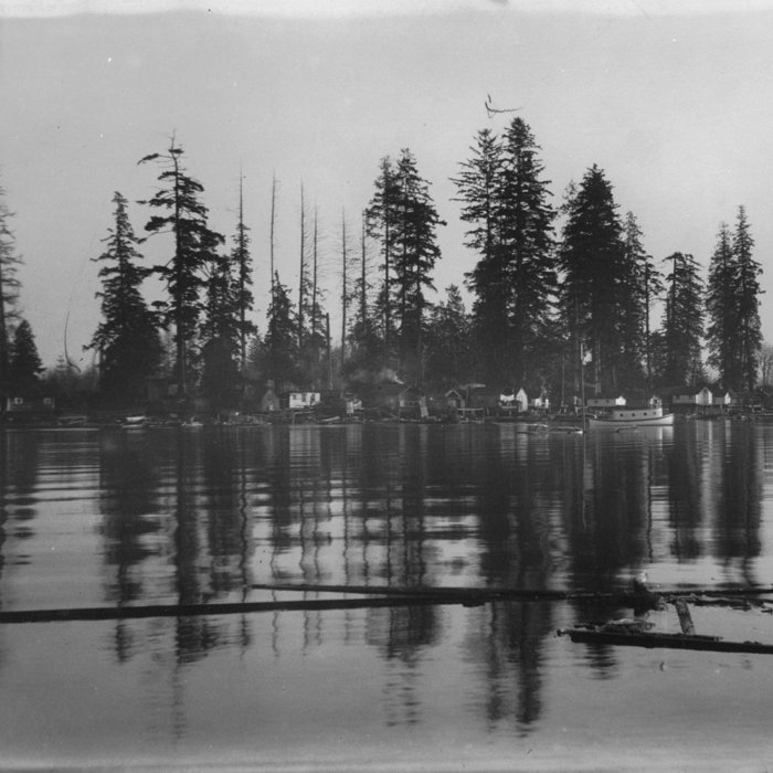 The Village Genius | Body in the Forest