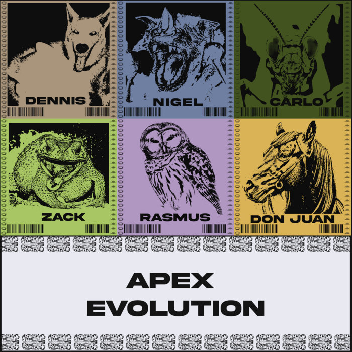 APEX EVOLUTION | L337