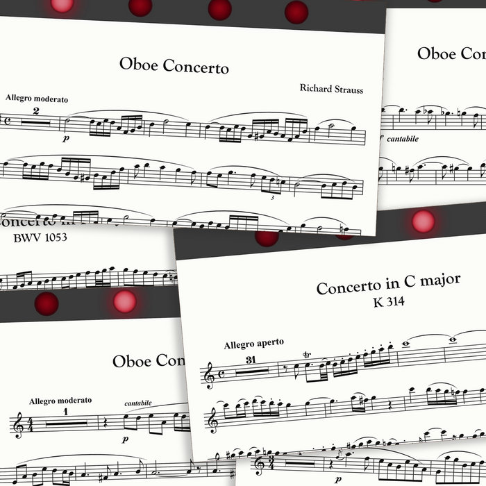 Accompaniments with synced visual pulse - [demo] | Classical MinusOne