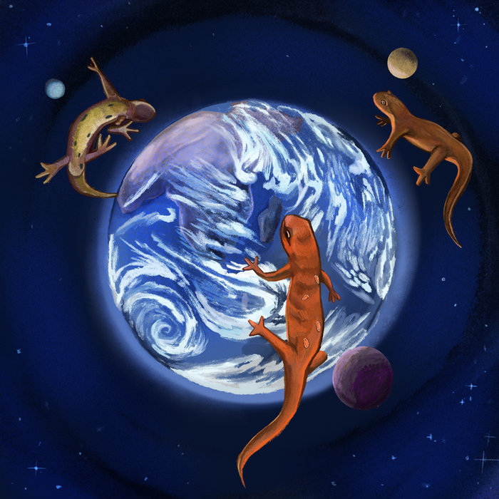 Orbiting Newts | kwog