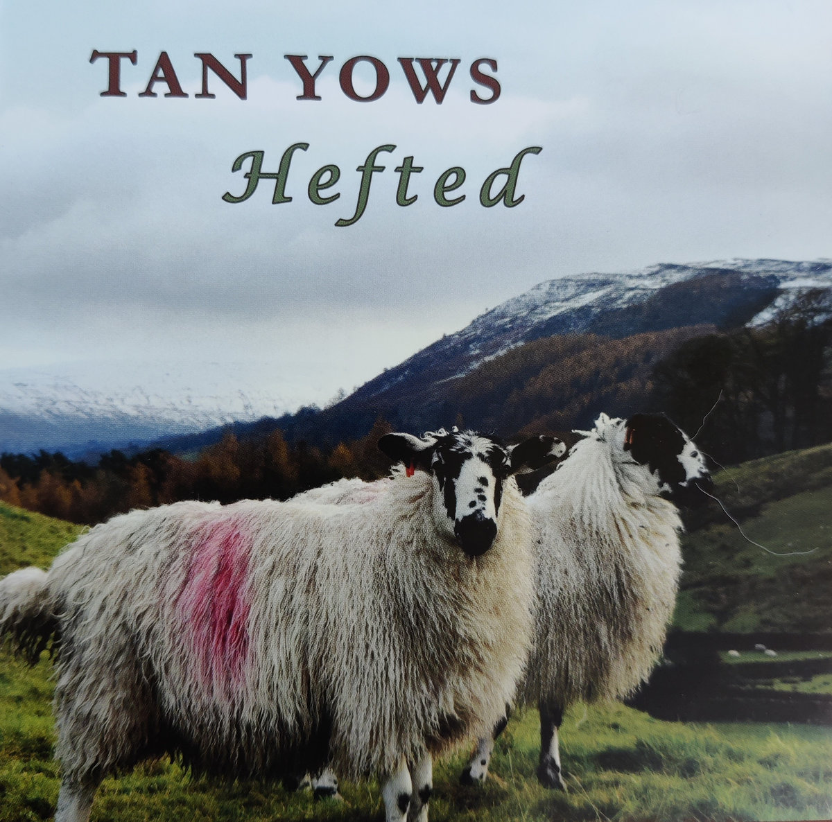Hefted | Tan Yows - Jan Harrison and Lynda Howard | Tan Yows