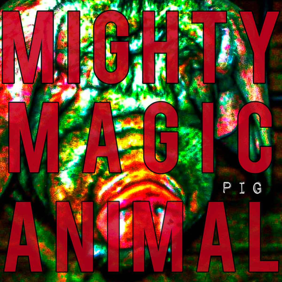 PIG | Mighty Magic Animal