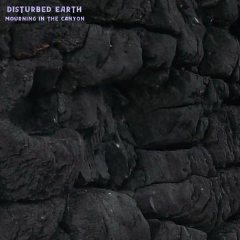 Music | Disturbed Earth