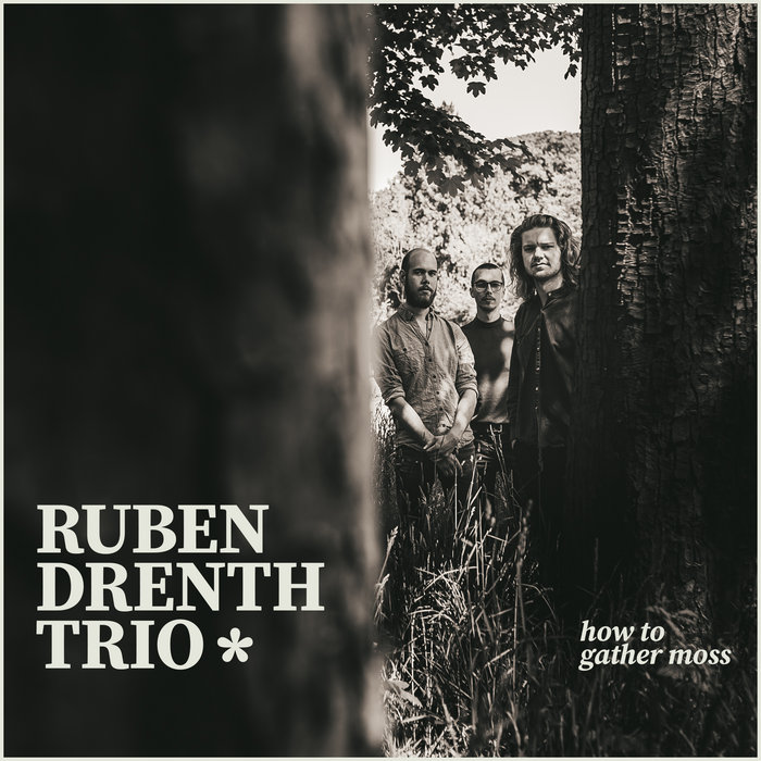 How To Gather Moss | Ruben Drenth