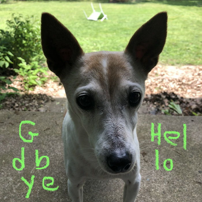 Going Through The Motions | Andy Nye