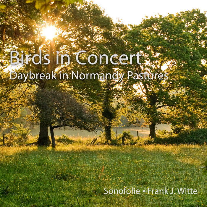 Birds in Concert | Sonofolie