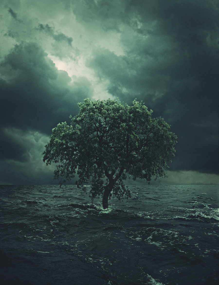 Strange | Mike Braudrick