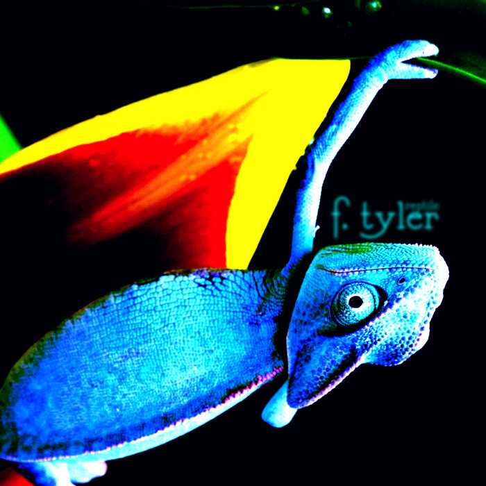 Reptile (LP) (EXPERIMENTAL AMBIENT) | F. Tyler