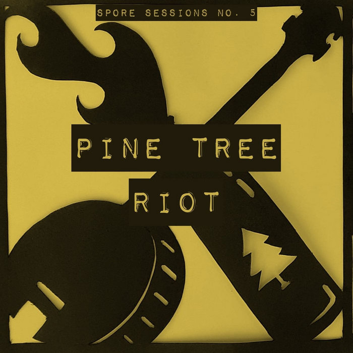 Spore Sessions No. 5 | Pine Tree Riot | Spore Sessions