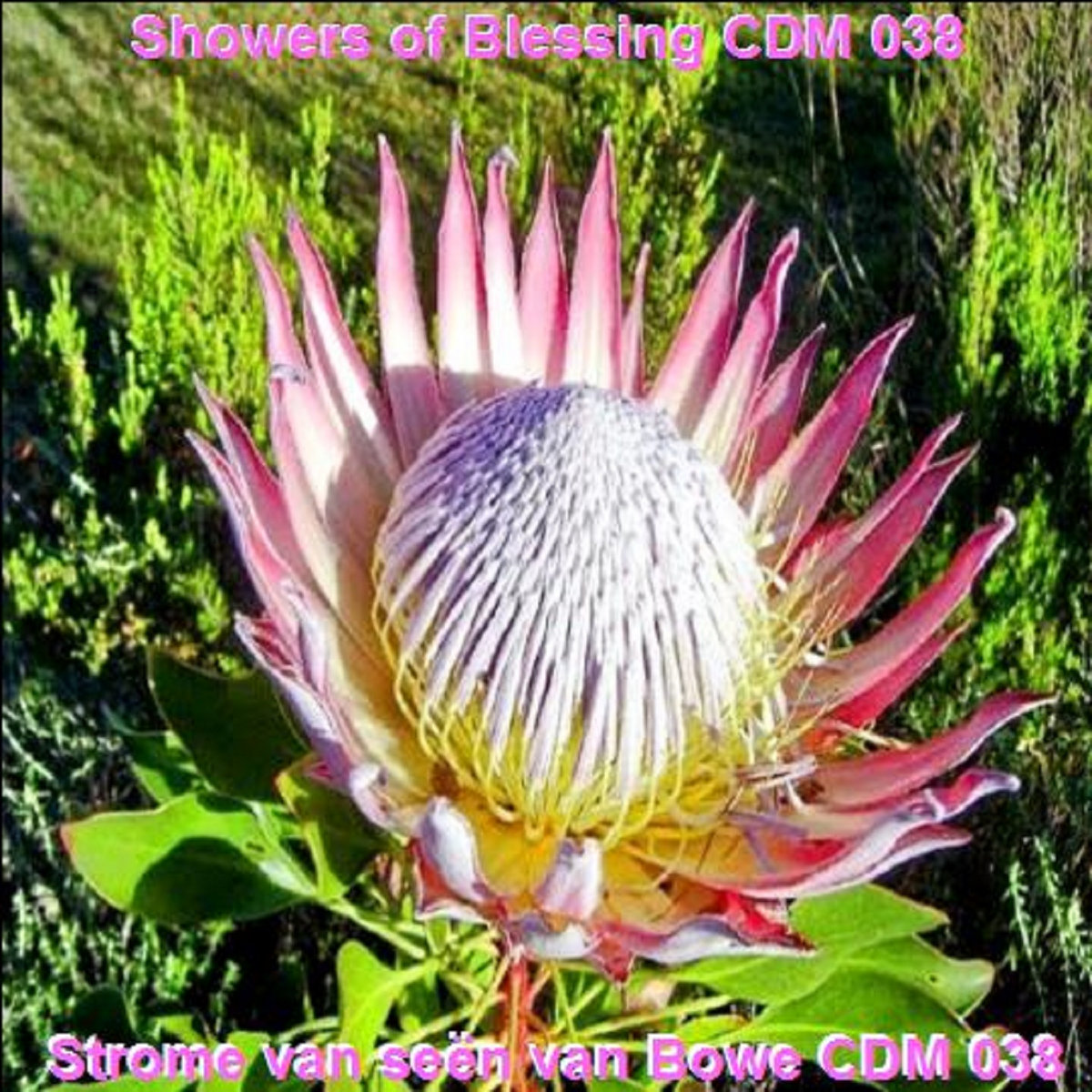 There shall be Showers of Blessings - Strome van Seen van Bowe CDM 038 ...