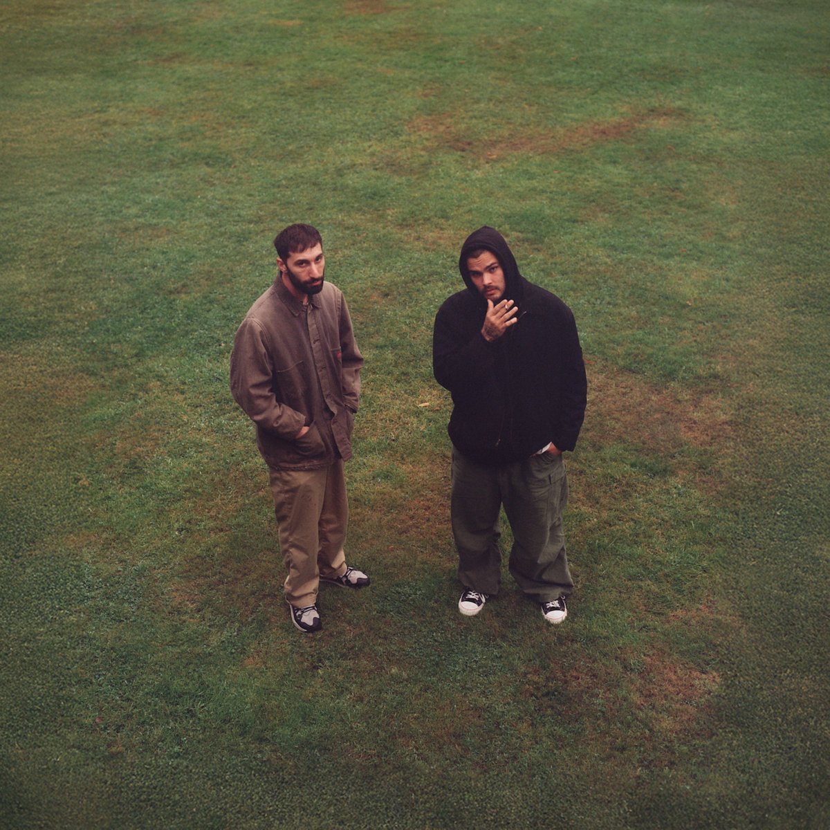 Blink Twice If You're OK | FARR | Daphne!