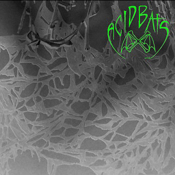 Demo | Acid Bats