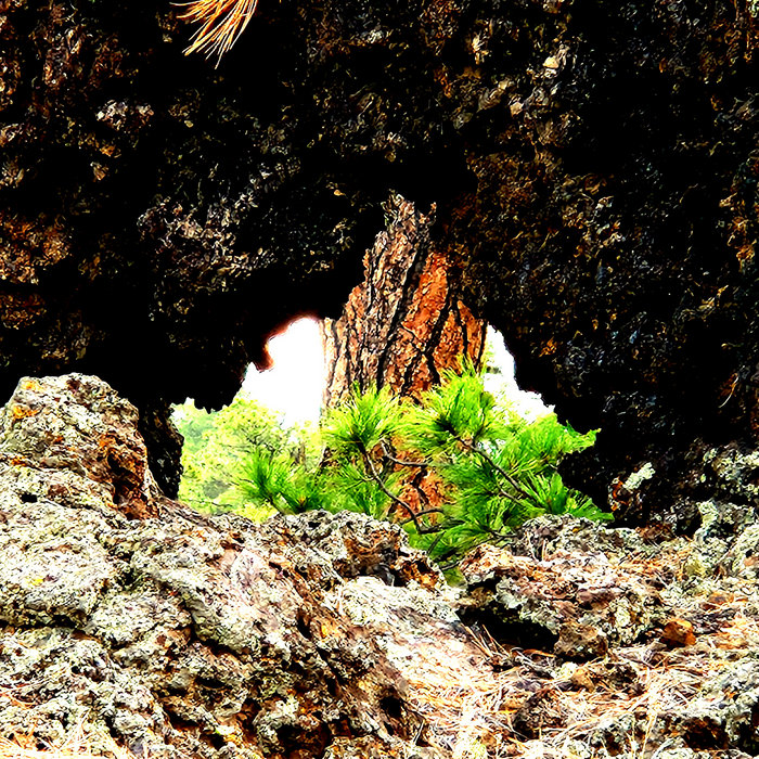 Three At Sea | Mark DeSimone