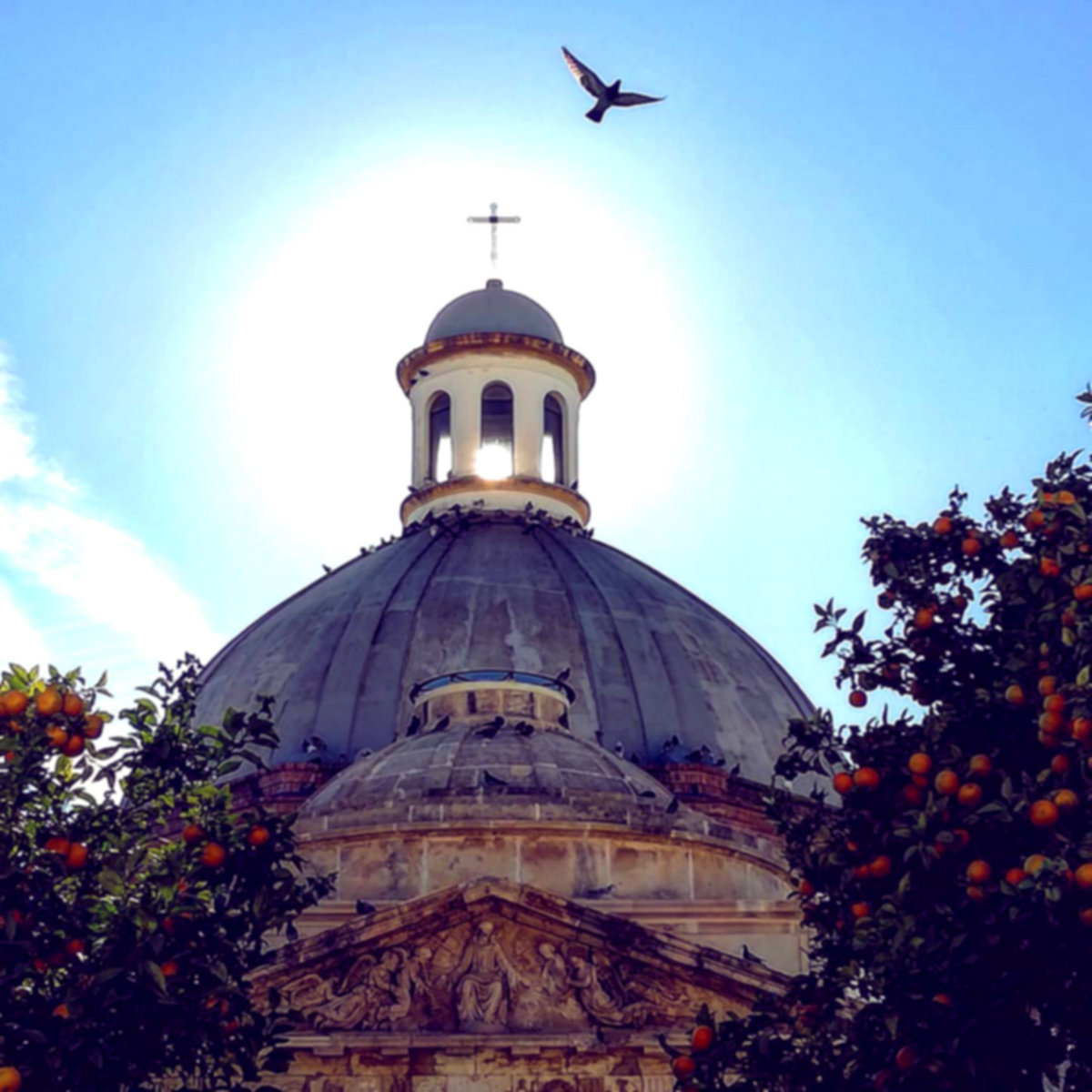 Farewell Incarnation | Bence Ambrus | psychedelic source records