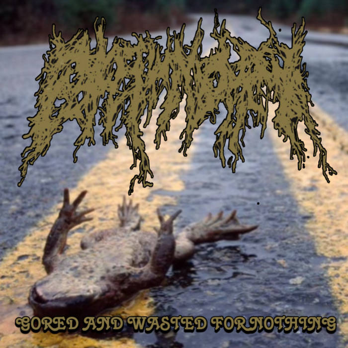 worminfestation's collection | Bandcamp