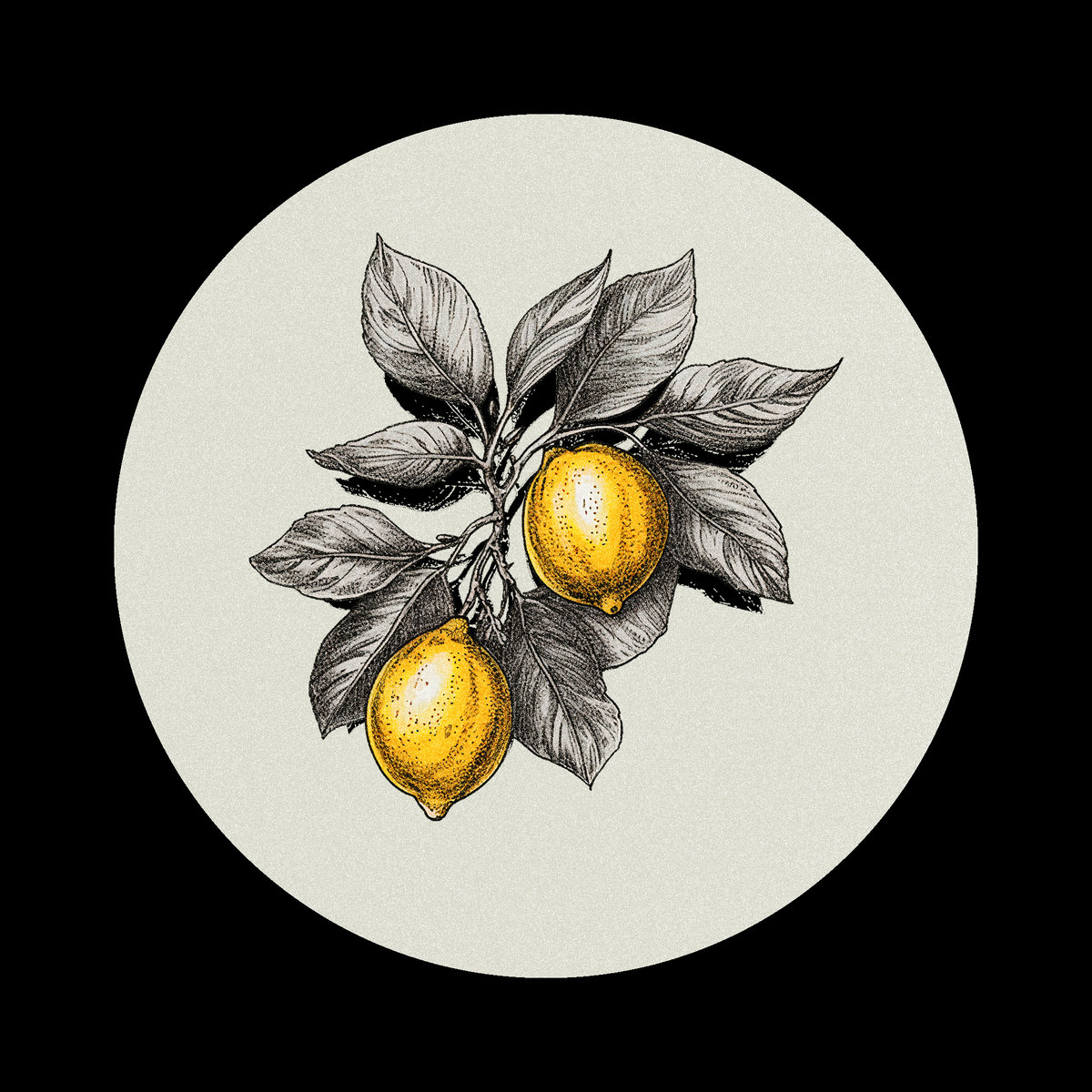 Limoncello | Teuteu