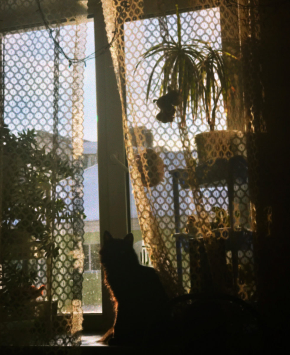 slow, soft and certain | singing sorrows