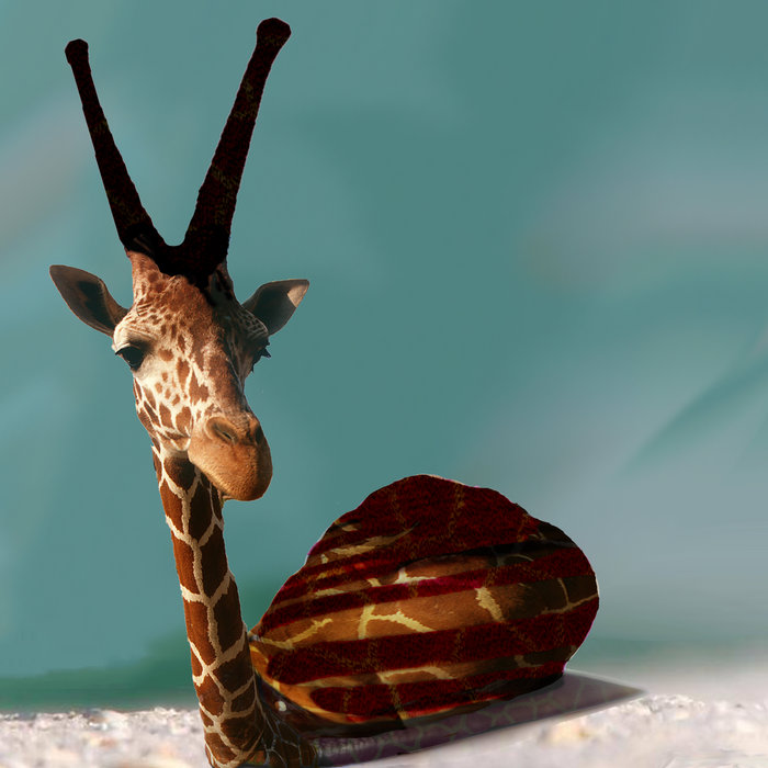 Animal Combo | Animal Combo
