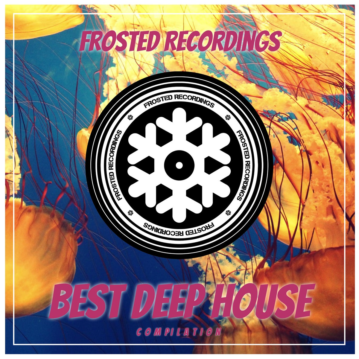 Best DEEP HOUSE compilation | V/A | Frosted Recordings
