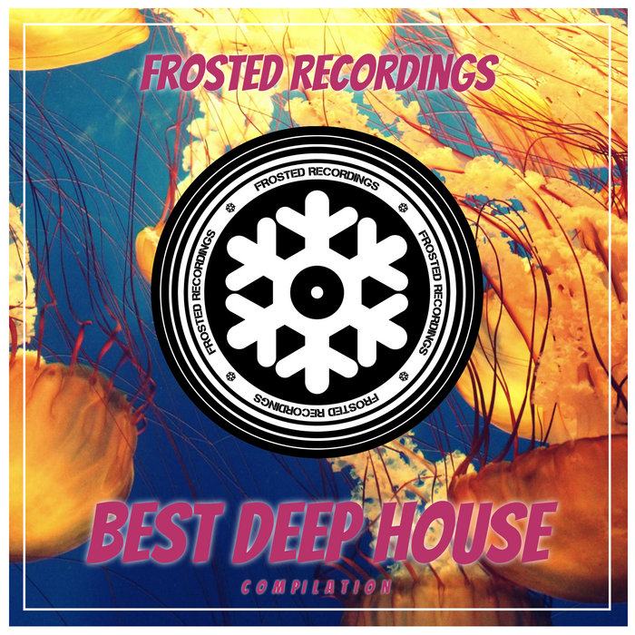 Best DEEP HOUSE compilation | V/A | Frosted Recordings