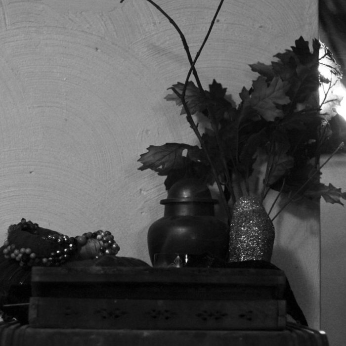 delicate instruments | wire mother